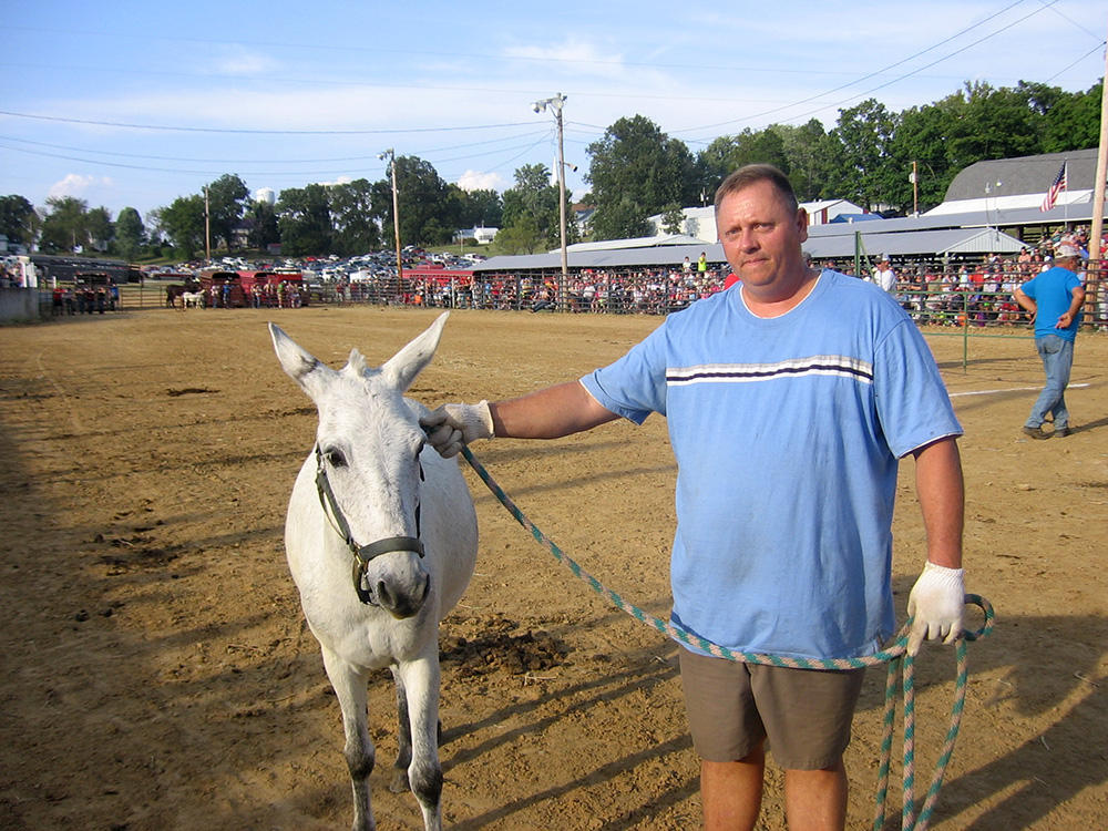 Donkey Show Jumping