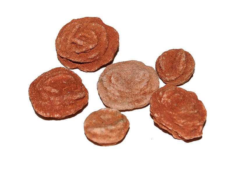 Growing on the High Plains: Rose Rocks | HPPR