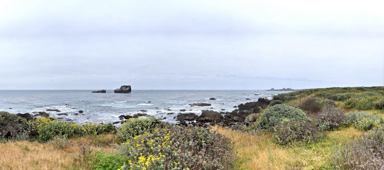 California's first offshore wind project has Morro Bay fishermen ...