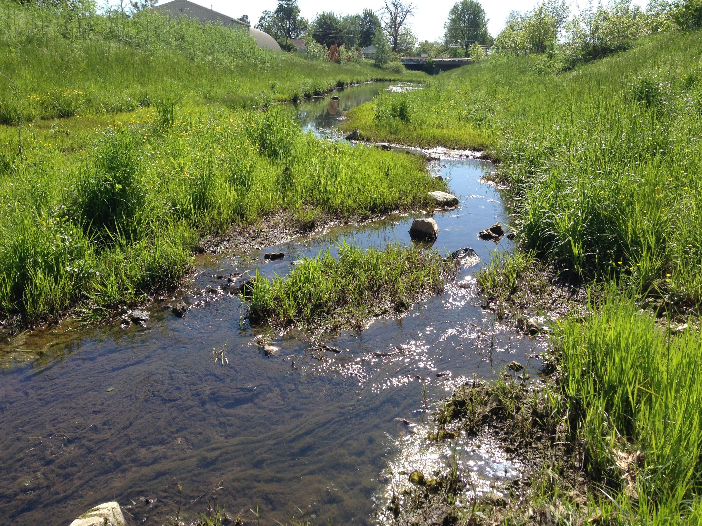 Spring Creek Water Gardens