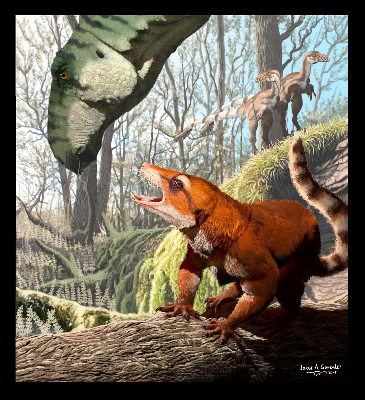 Utah Fossil Breaks Open Theories About Origins Of Early Mammals | KUER 90.1