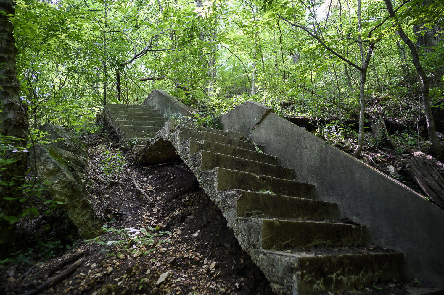 Castlewood Va History at Gemma Nock blog
