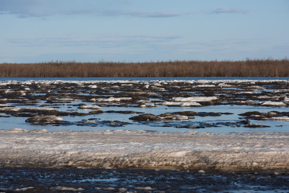 Coffee@KYUK May 4: Kuskokwim Water Dropping, Ice Jams Holding | KYUK