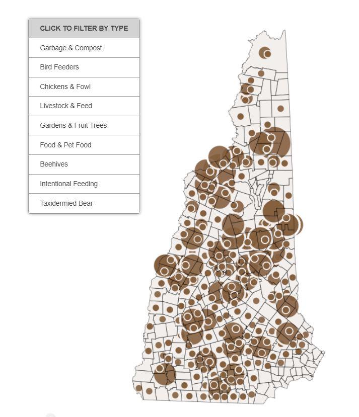As N.H.'s Bear Challenges Persist, Officials Home In On A Different ...