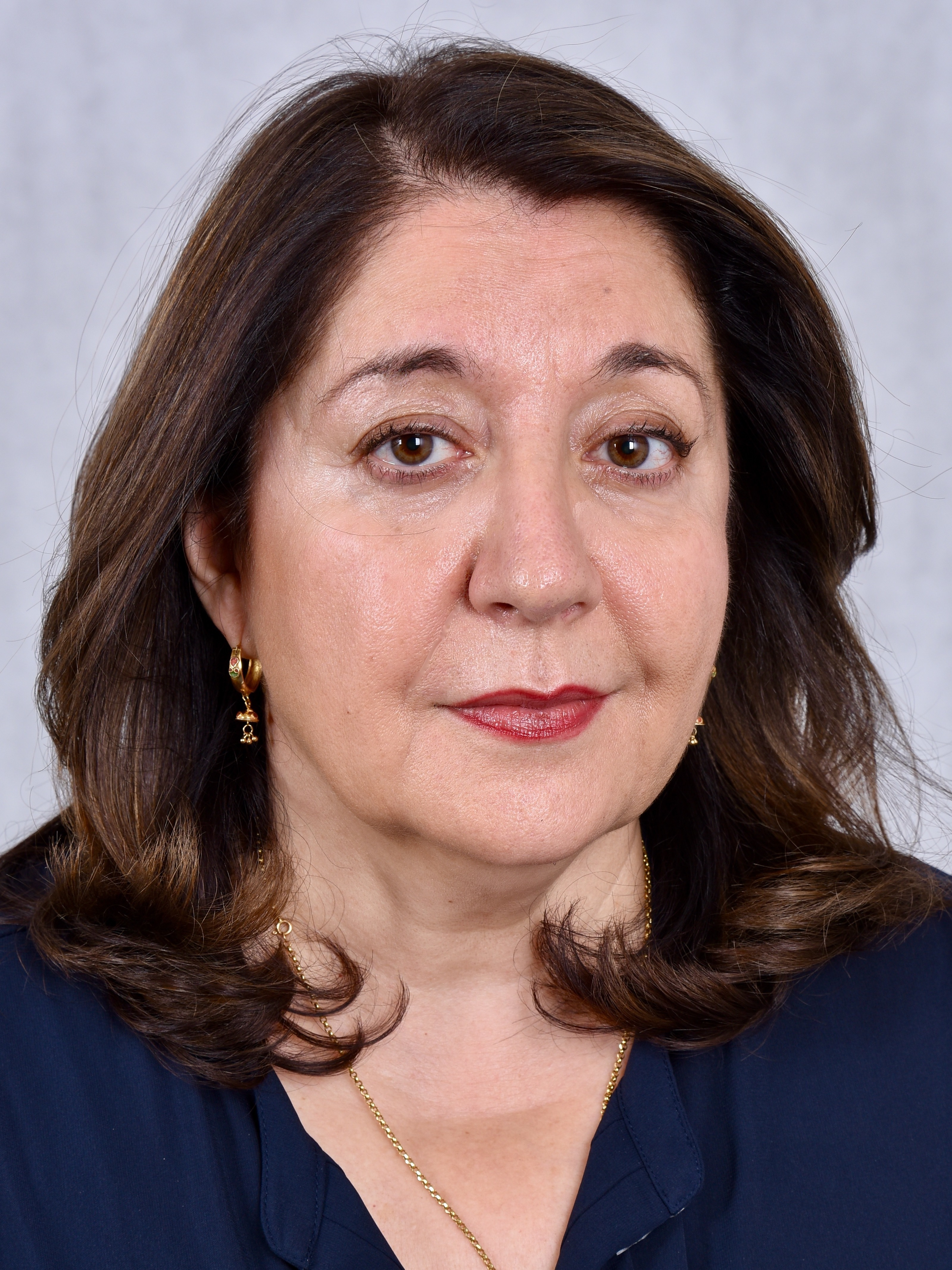 Jane Arraf | NPR Illinois