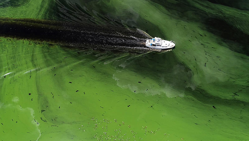 DeSantis Announces Plan For Sweeping Laws To Address Florida Water ... DeSantis Announces Plan For Sweeping Laws To Address Florida Water ...