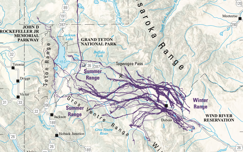 New Maps Detail Migration Corridors Across The West | KUNM New Maps Detail Migration Corridors Across The West | KUNM