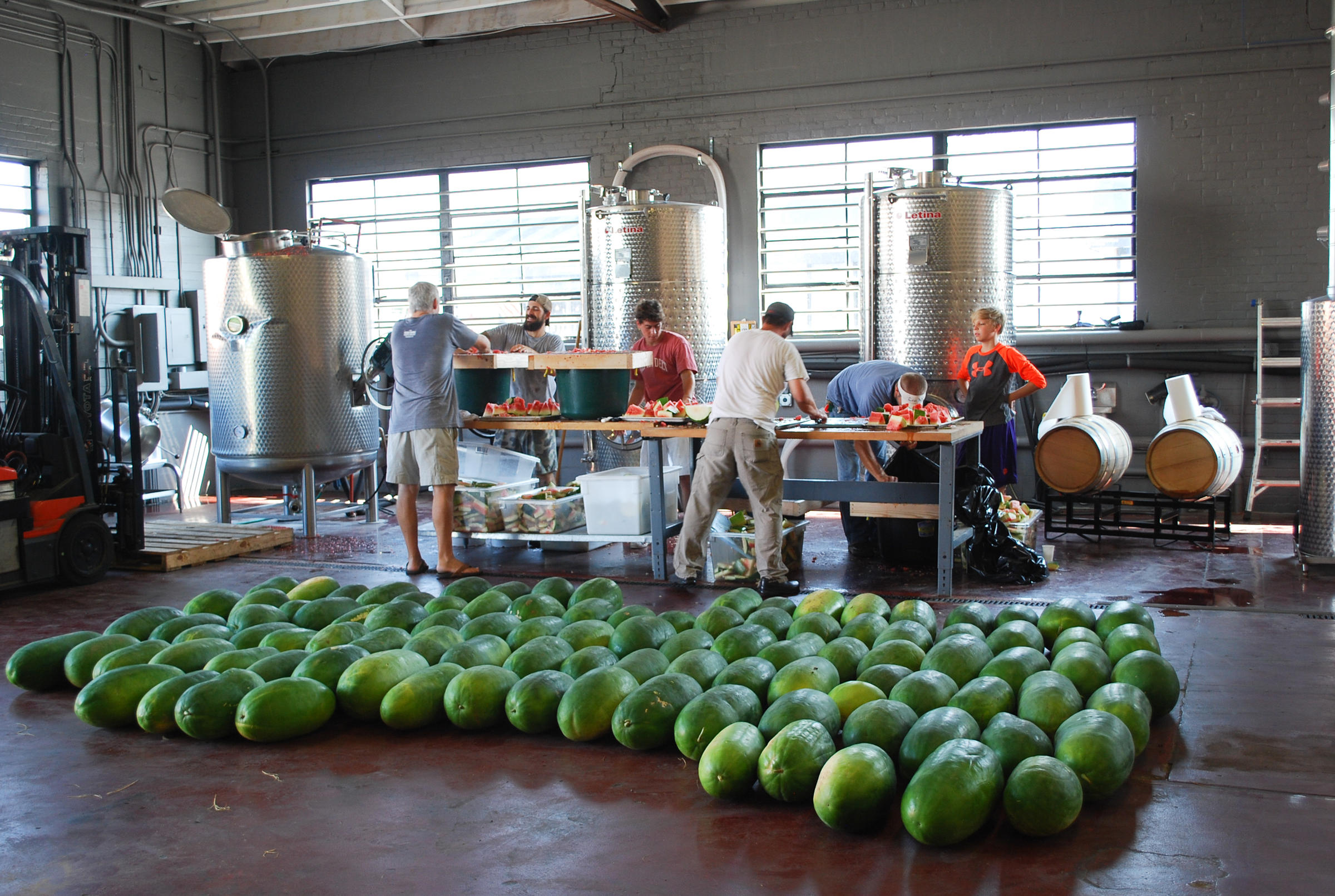 Undomesticated Watermelon