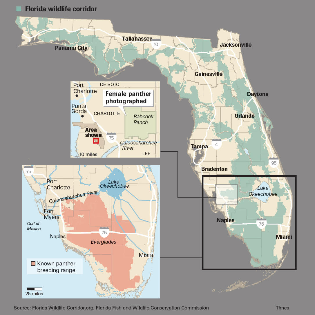 Florida Wildlife Management Areas Map