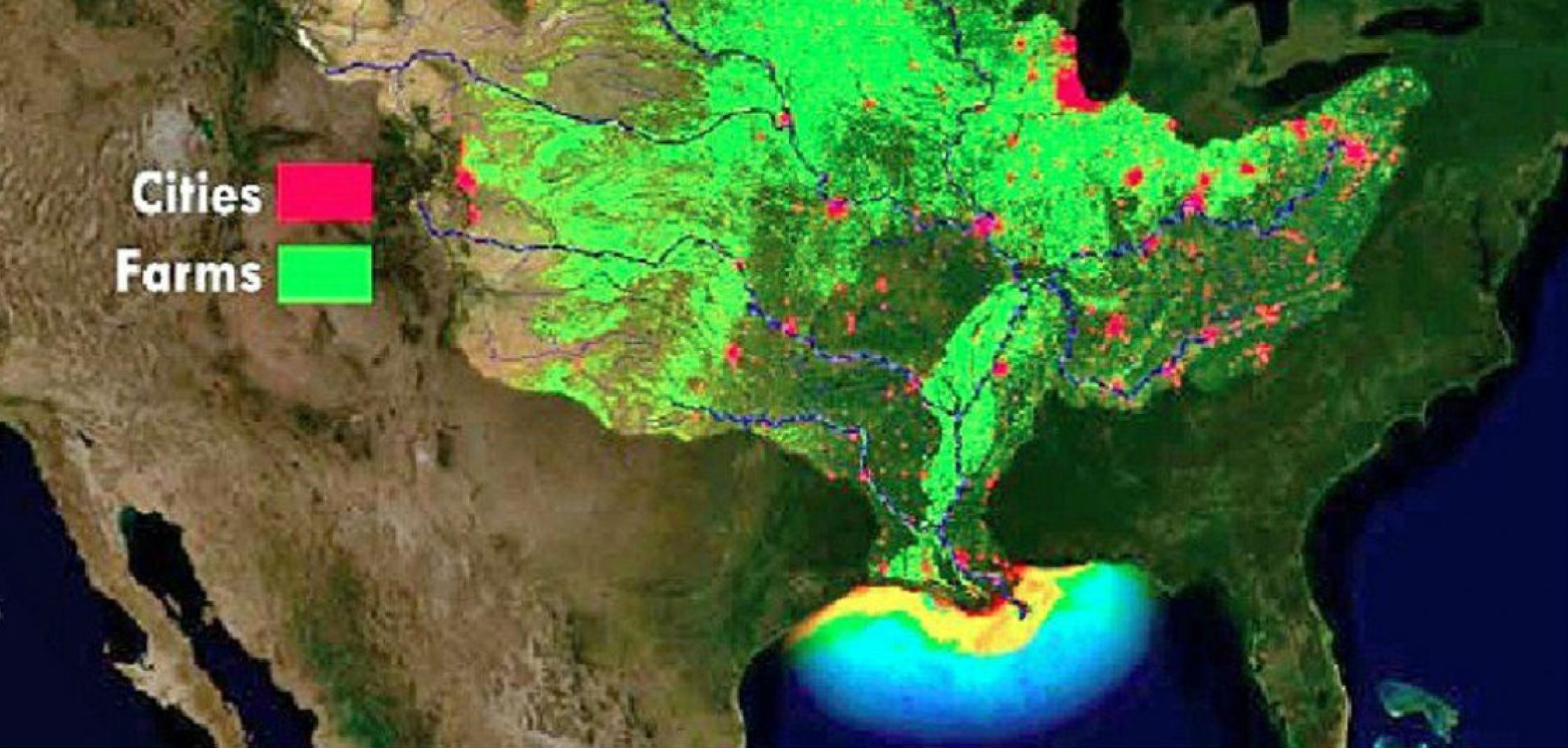 This Year s Gulf Of Mexico Dead Zone Could Be One Of The Biggest Ever NOAA Says WUSF News