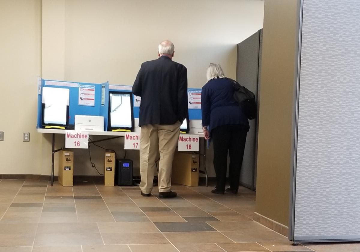 Georgia Voting Machine Critics Investigated For Alleged Polling Place ...