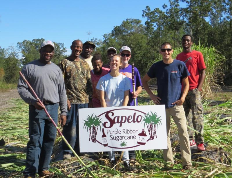 The Return Of Purple Ribbon Sugarcane | Georgia Public Broadcasting