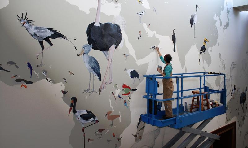 Cornell Mural Celebrates 100 Years of Birding | WXXI News